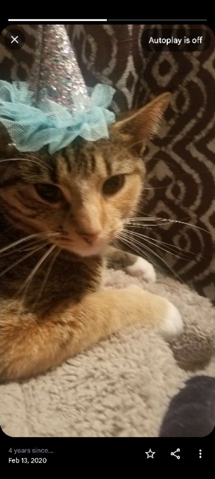 Ex-Husband's Regret - Chapter 0372 Novel & PDF Online by Evelyn M.M | Read Billionaire Stories ...