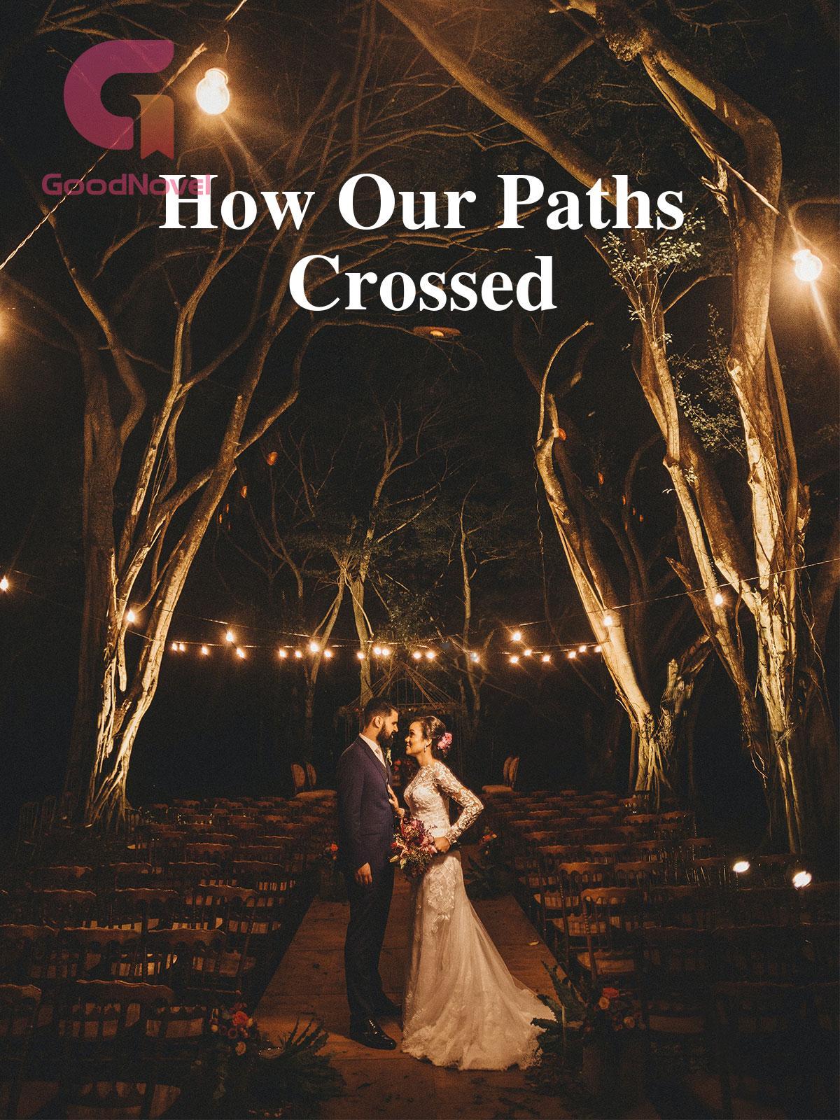 How Our Paths Crossed PDF & Novel Online by lina ewalu to Read for Free ...