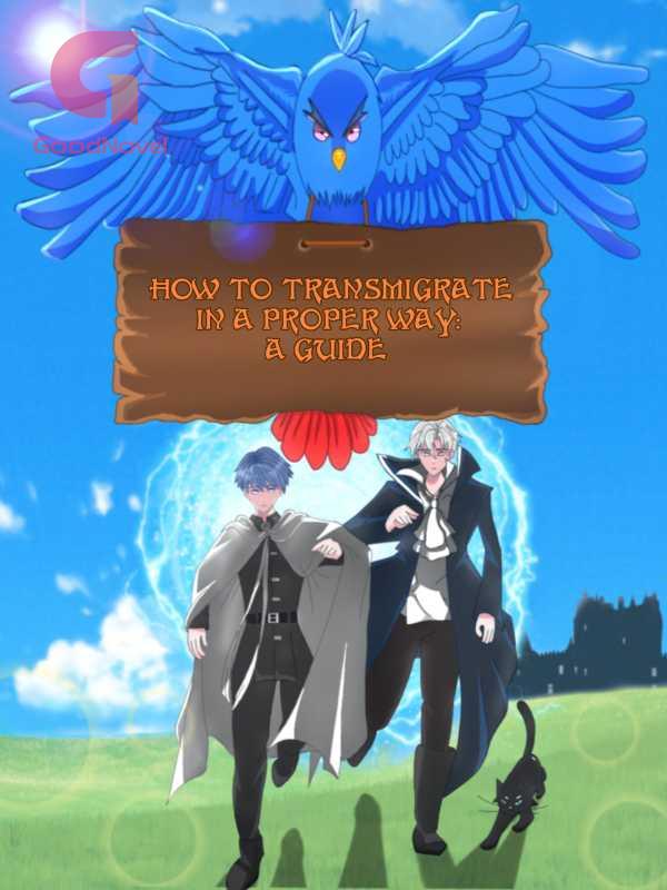 How to transmigrate in a proper way: A guide PDF & Novel Online by ...