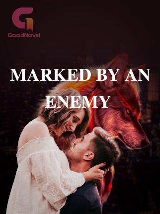 MARKED BY AN ENEMY PDF & Novel Online by Heavenly Dreamer to Read for ...