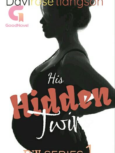 His hidden Twins ( Bed warmer Series #1) PDF at Novel Online ni ...