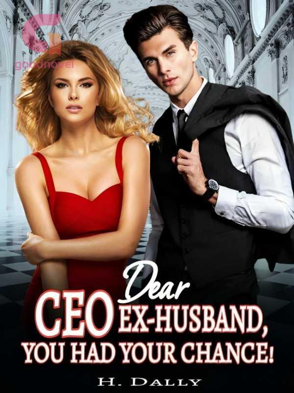 Dear CEO Ex-Husband, You Had Your Chance!!! PDF & Novel Online by H. Dally to Read for Free ...