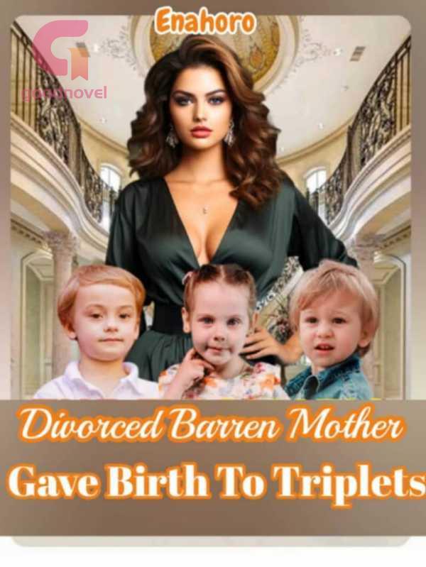 Divorced Barren Mother Gave Birth To Triplets PDF & Novel Online by Enahoro to Read for Free ...