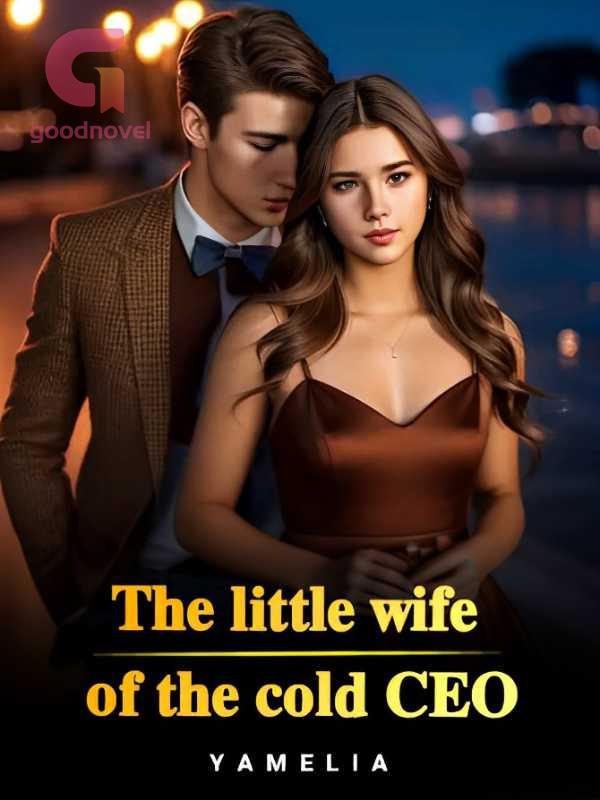 The little wife of the cold CEO PDF & Novel Online by YAMELIA to Read for Free - Romance Stories ...