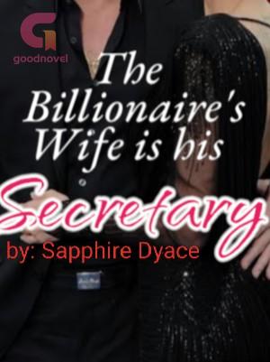 The Billionaire's Wife is his Secretary PDF & Novel Online by Sapphire Dyace to Read for Free ...